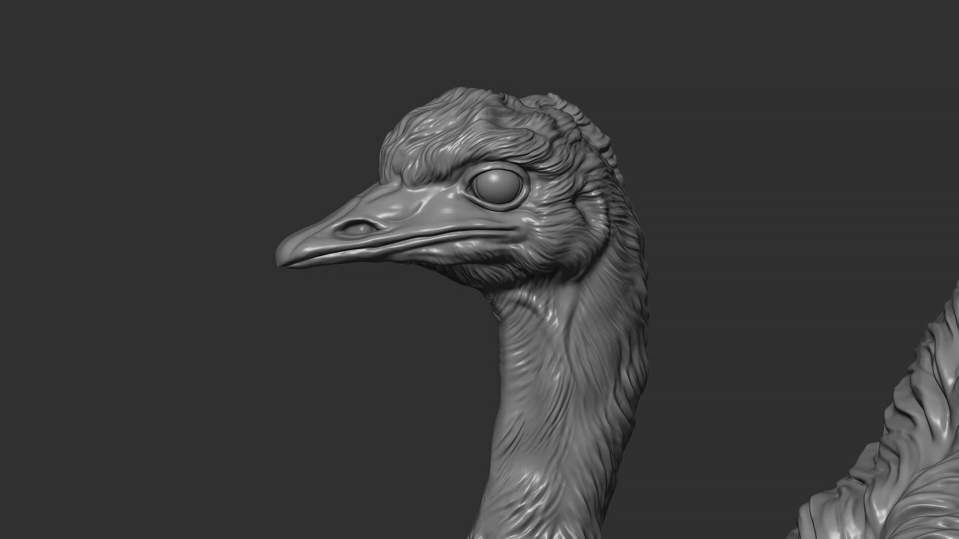 EMU Ostrich Bust - 3D Model by guninnik81
