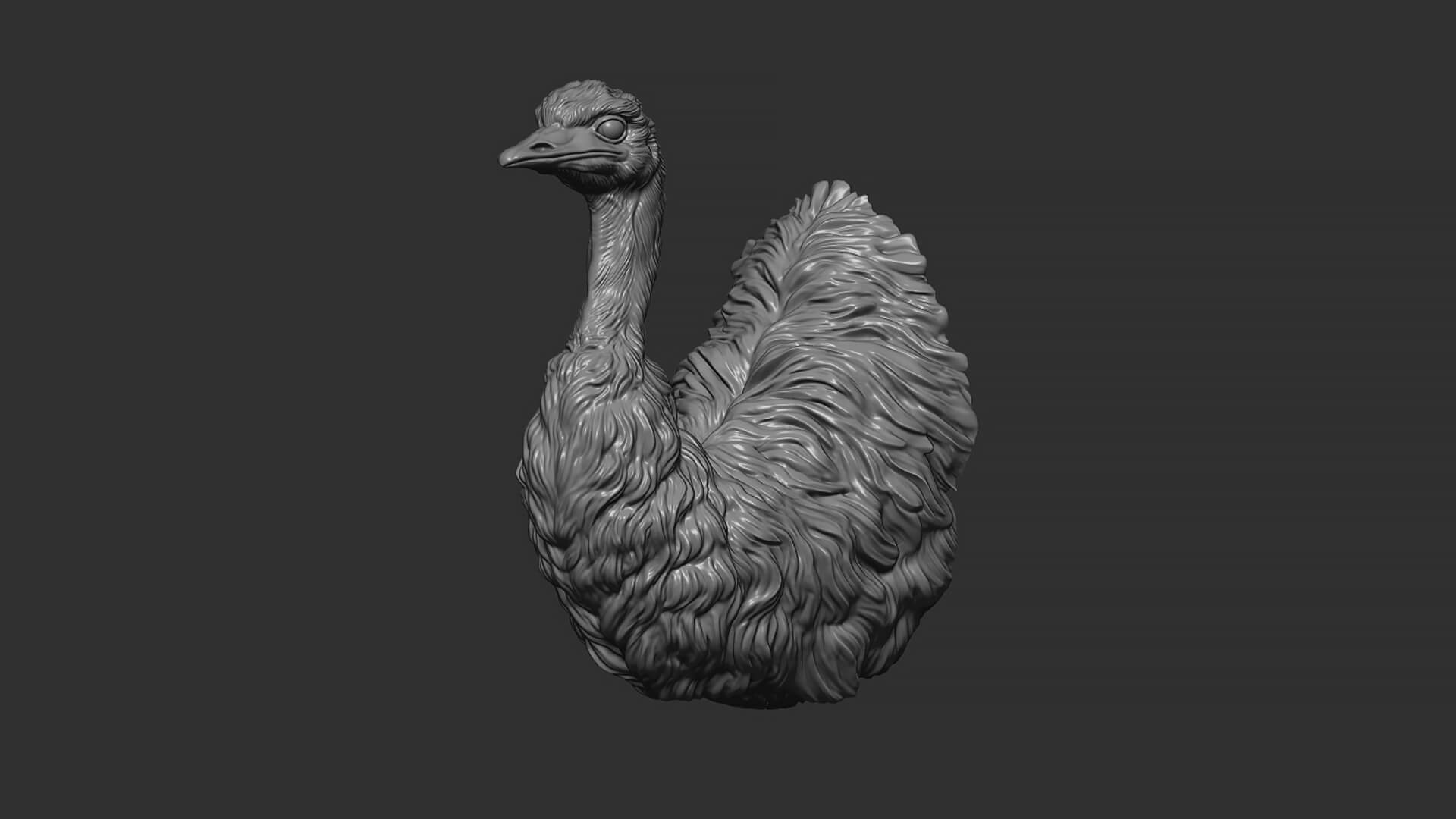 EMU Ostrich Bust - 3D Model by guninnik81