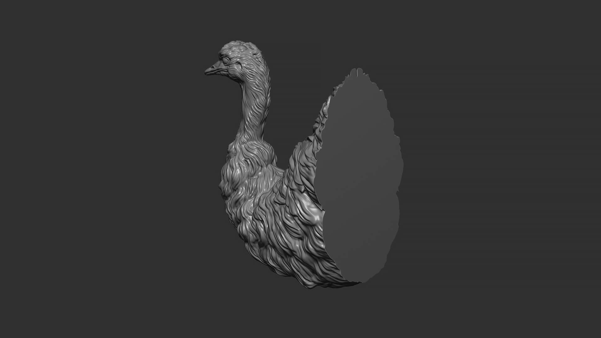 EMU Ostrich Bust - 3D Model by guninnik81