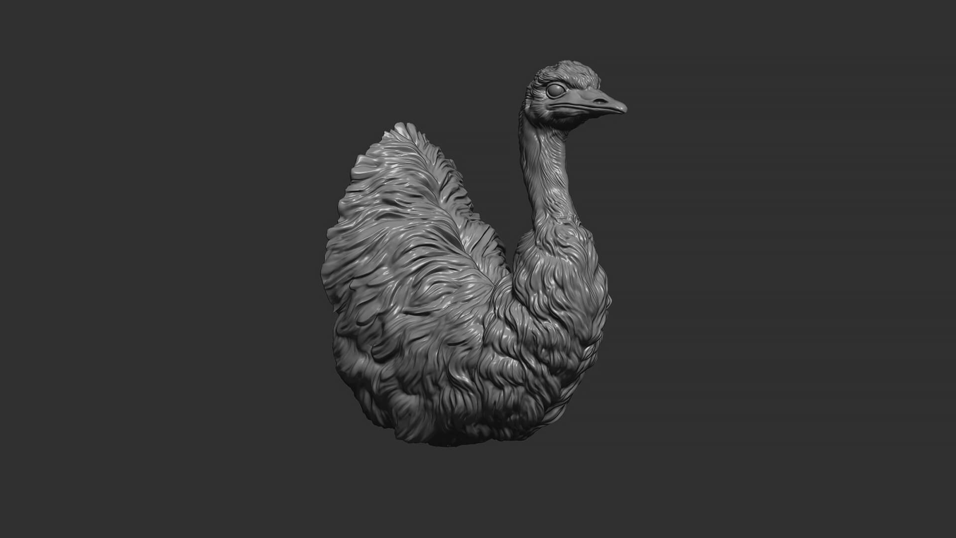EMU Ostrich Bust - 3D Model by guninnik81