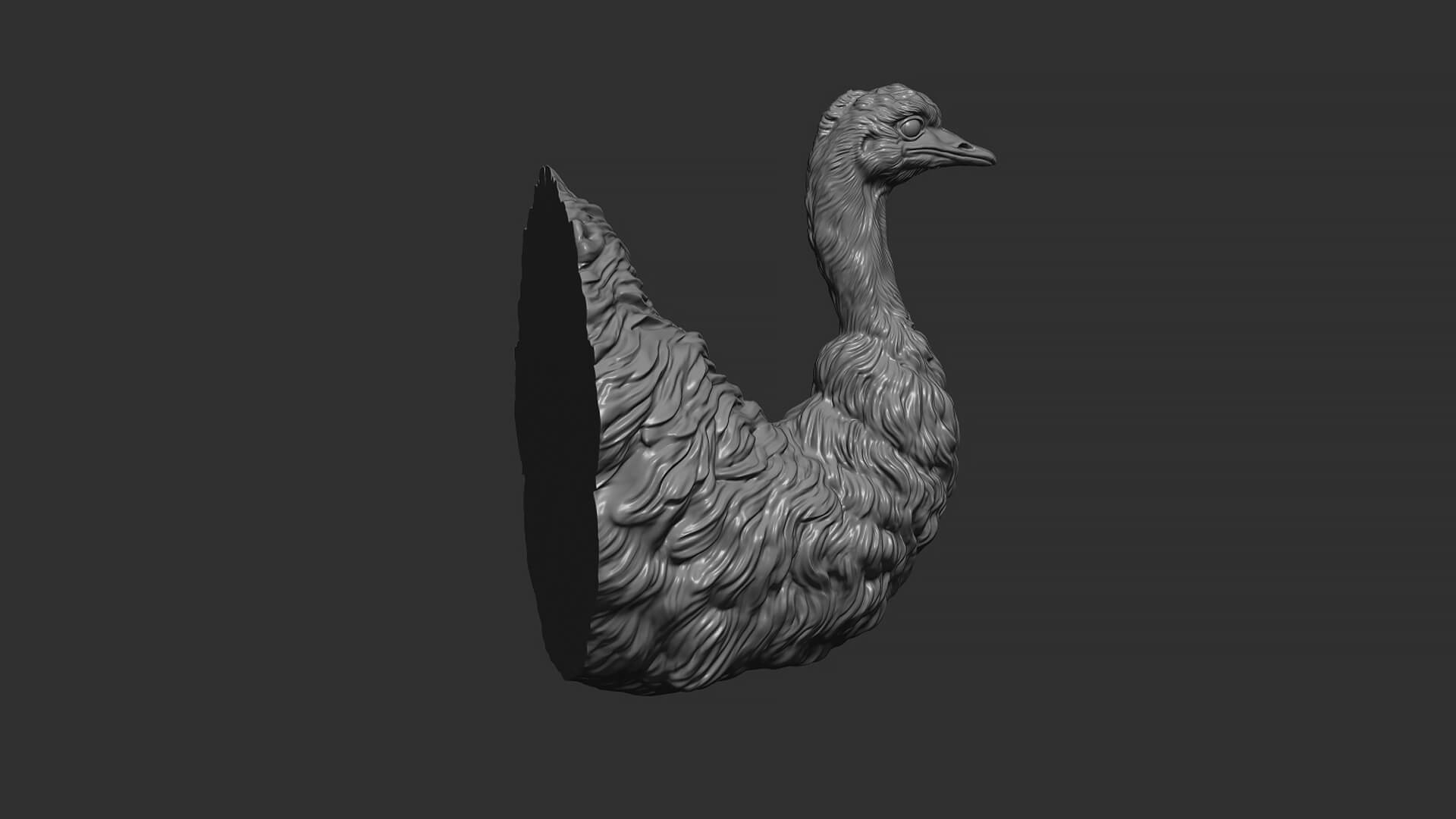 EMU Ostrich Bust - 3D Model by guninnik81