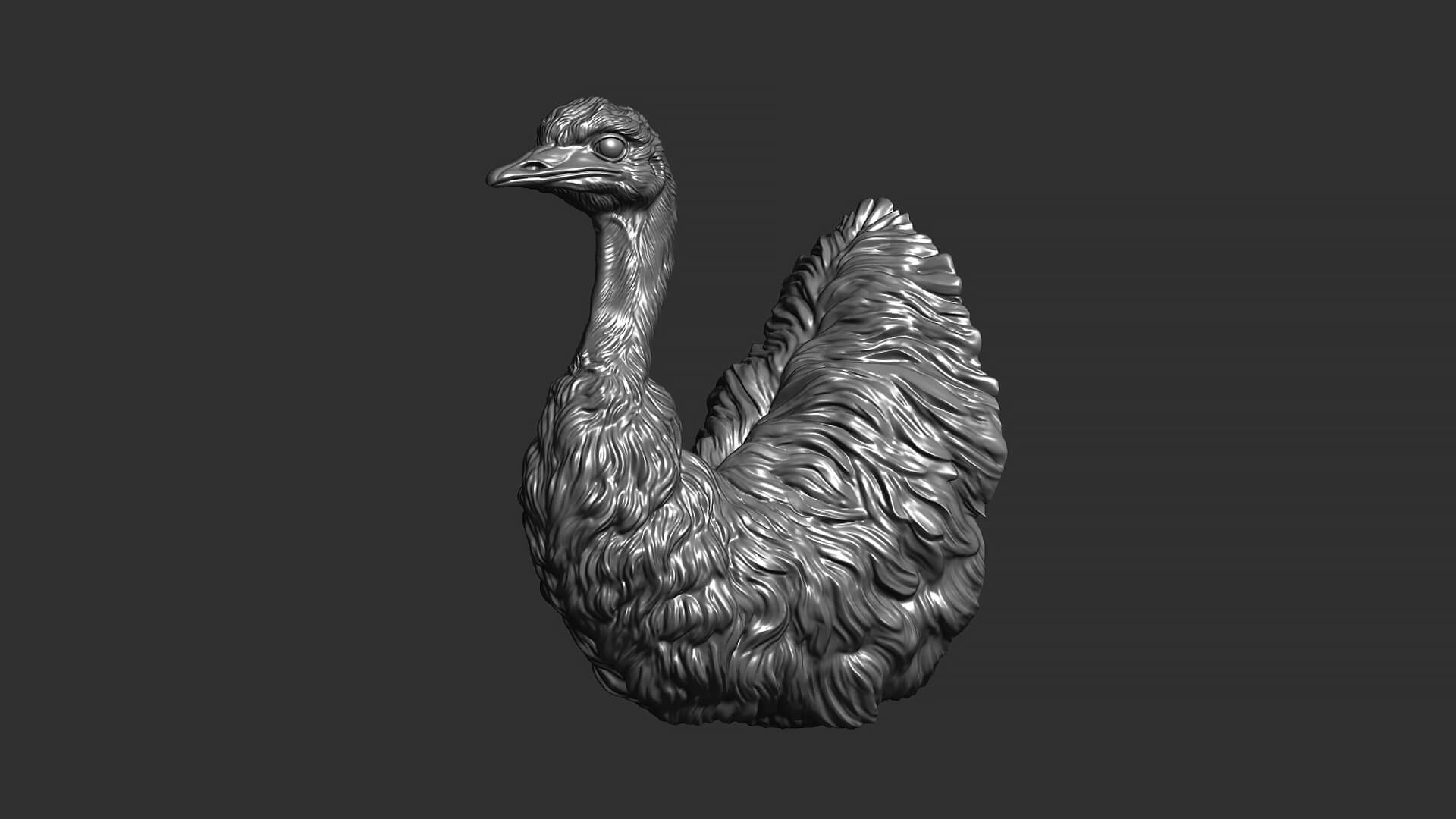 EMU Ostrich Bust - 3D Model by guninnik81