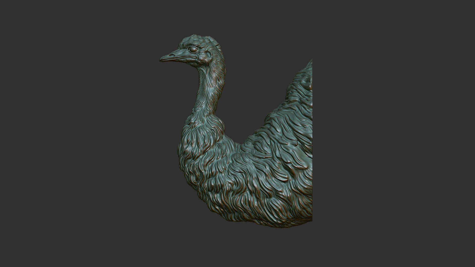 EMU Ostrich Bust - 3D Model by guninnik81
