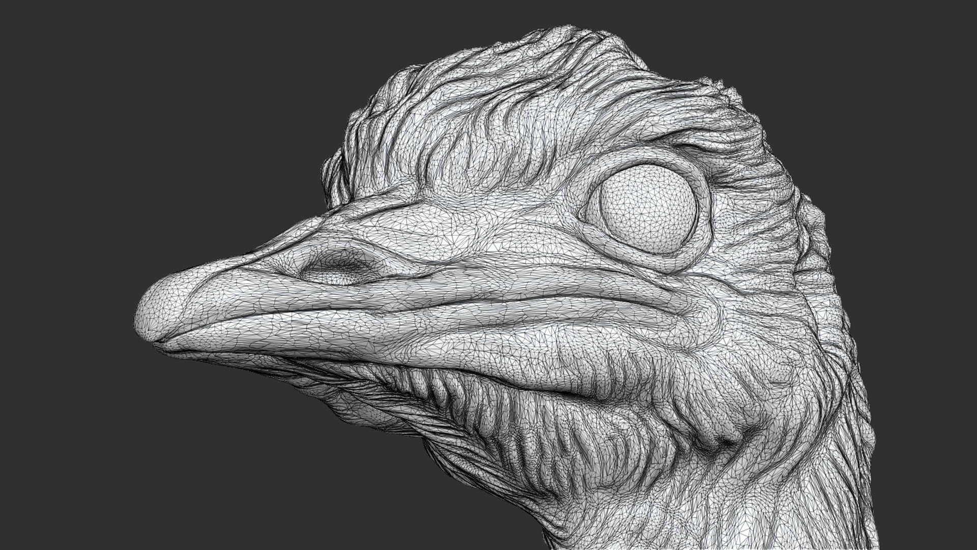 EMU Ostrich Bust - 3D Model by guninnik81