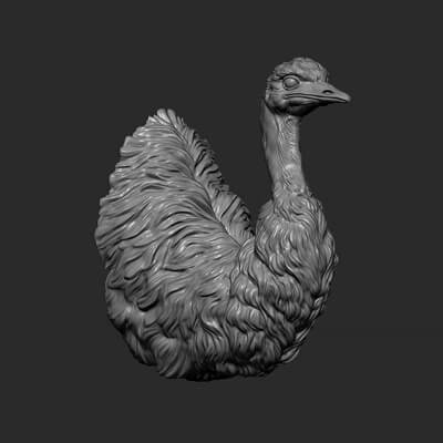 EMU Ostrich Bust - 3D Model by guninnik81