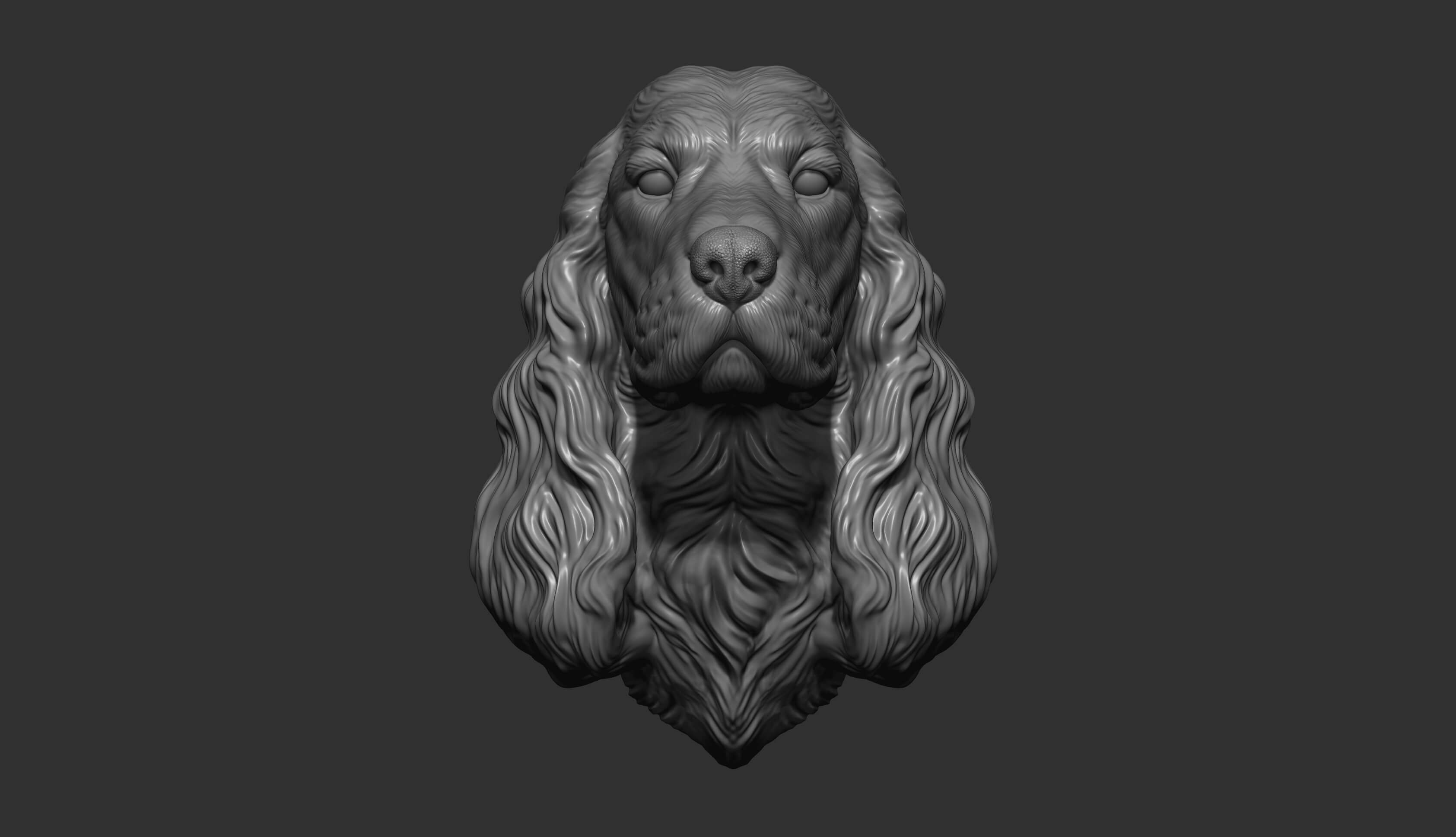 English Cocker Spaniel Bust - 3D Model by guninnik81
