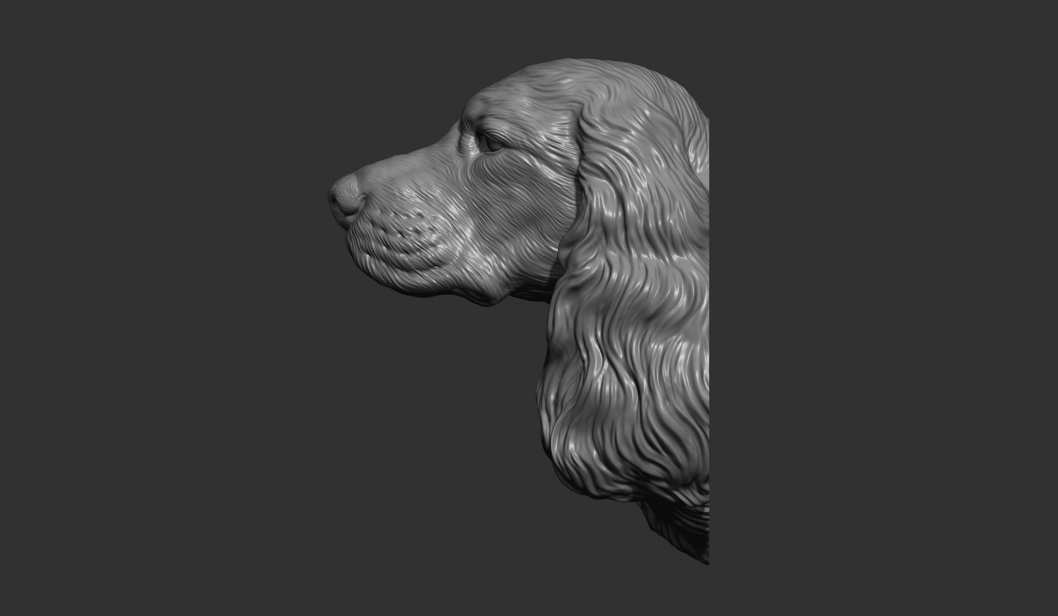 English Cocker Spaniel Bust - 3D Print Model by guninnik81