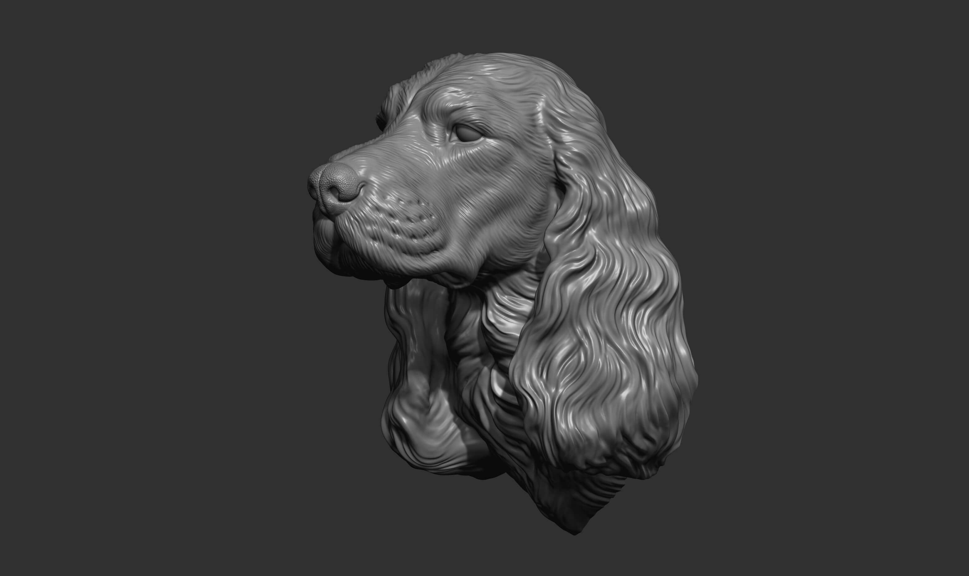 English Cocker Spaniel Bust - 3D Model by guninnik81