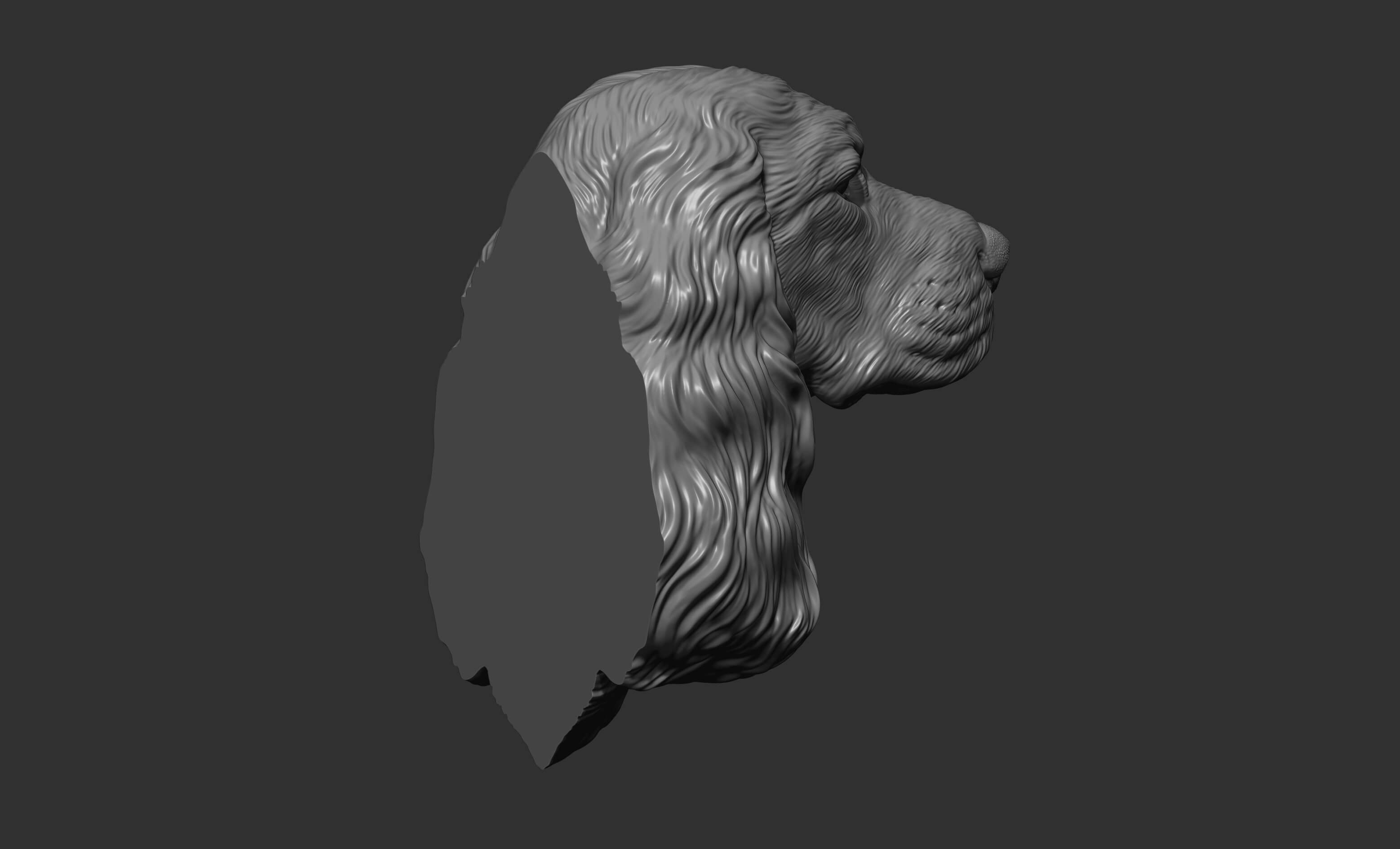 English Cocker Spaniel Bust - 3D Print Model by guninnik81