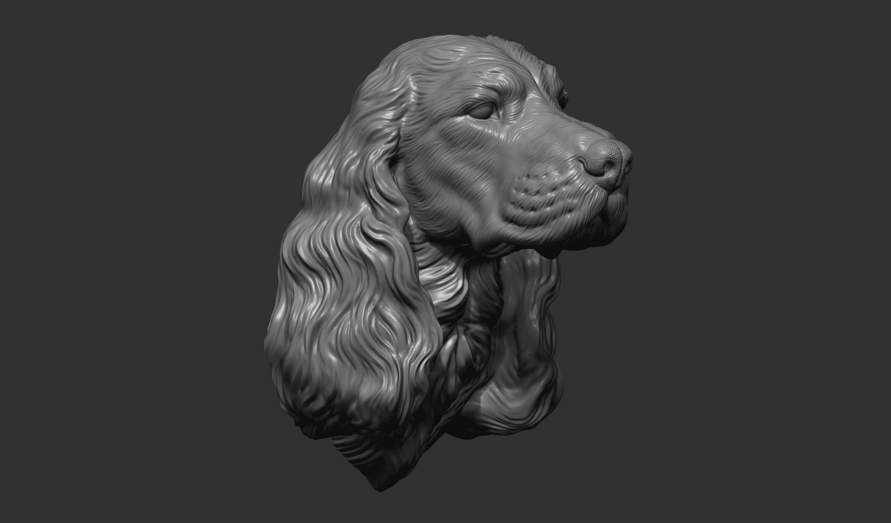 English Cocker Spaniel Bust - 3D Model by guninnik81