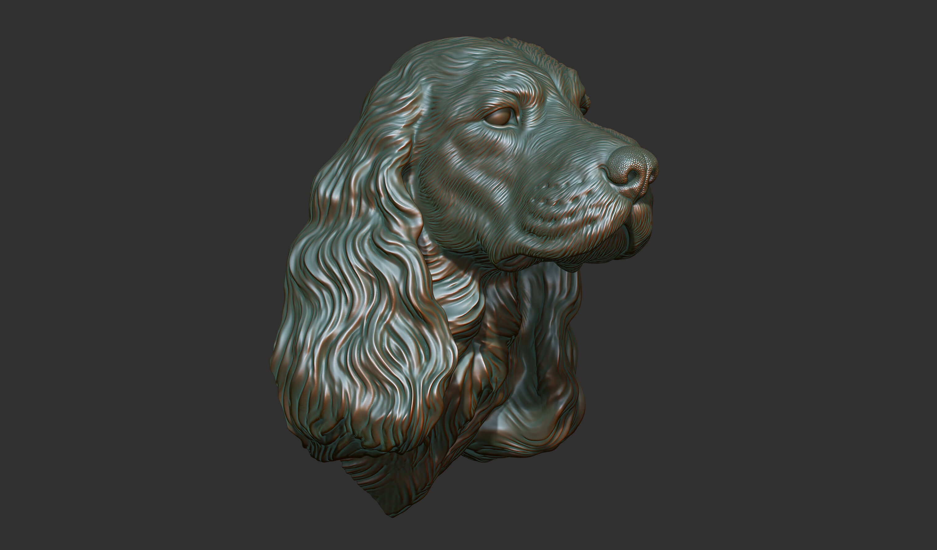 English Cocker Spaniel Bust - 3D Model by guninnik81