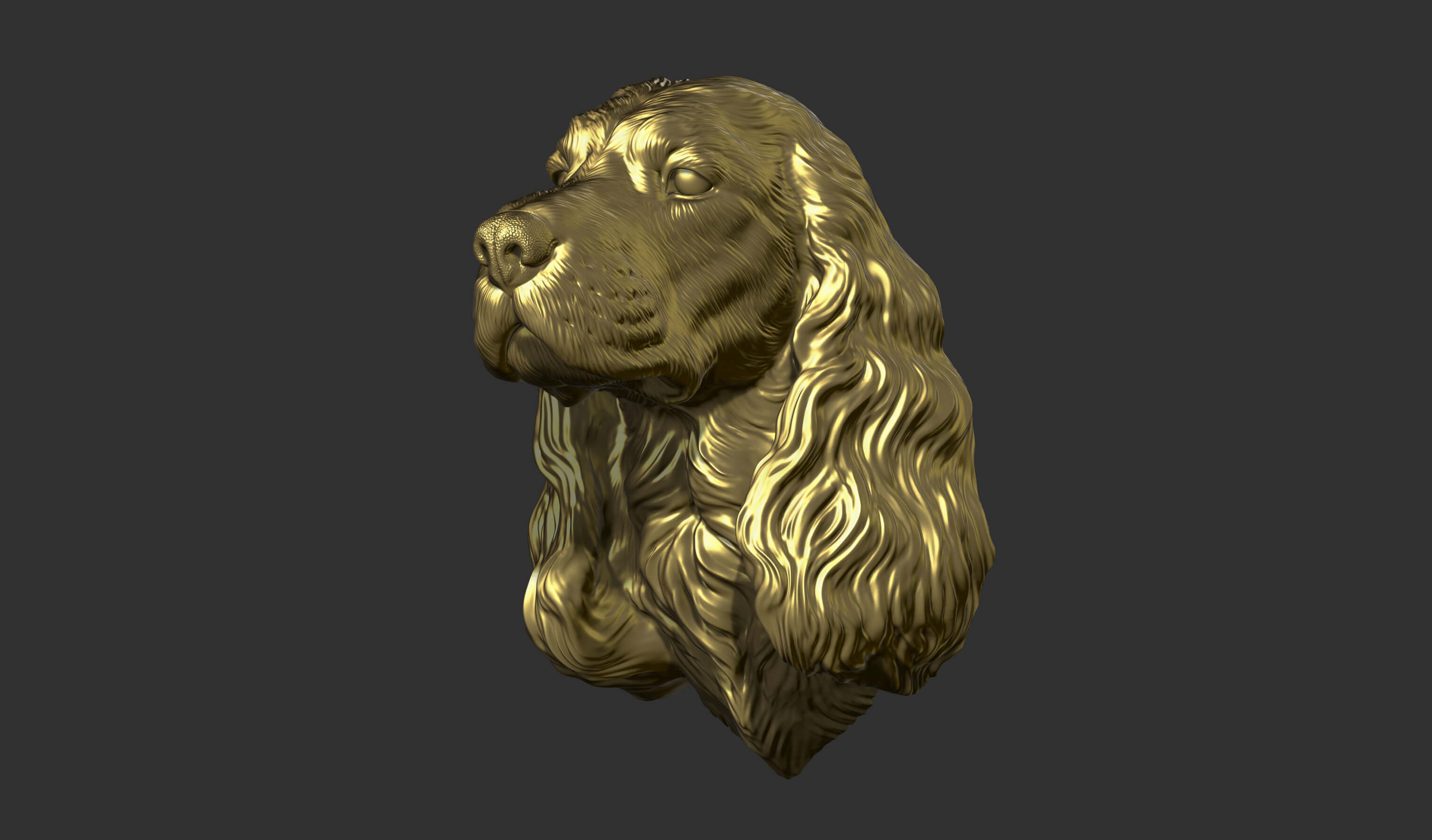 English Cocker Spaniel Bust - 3D Model by guninnik81