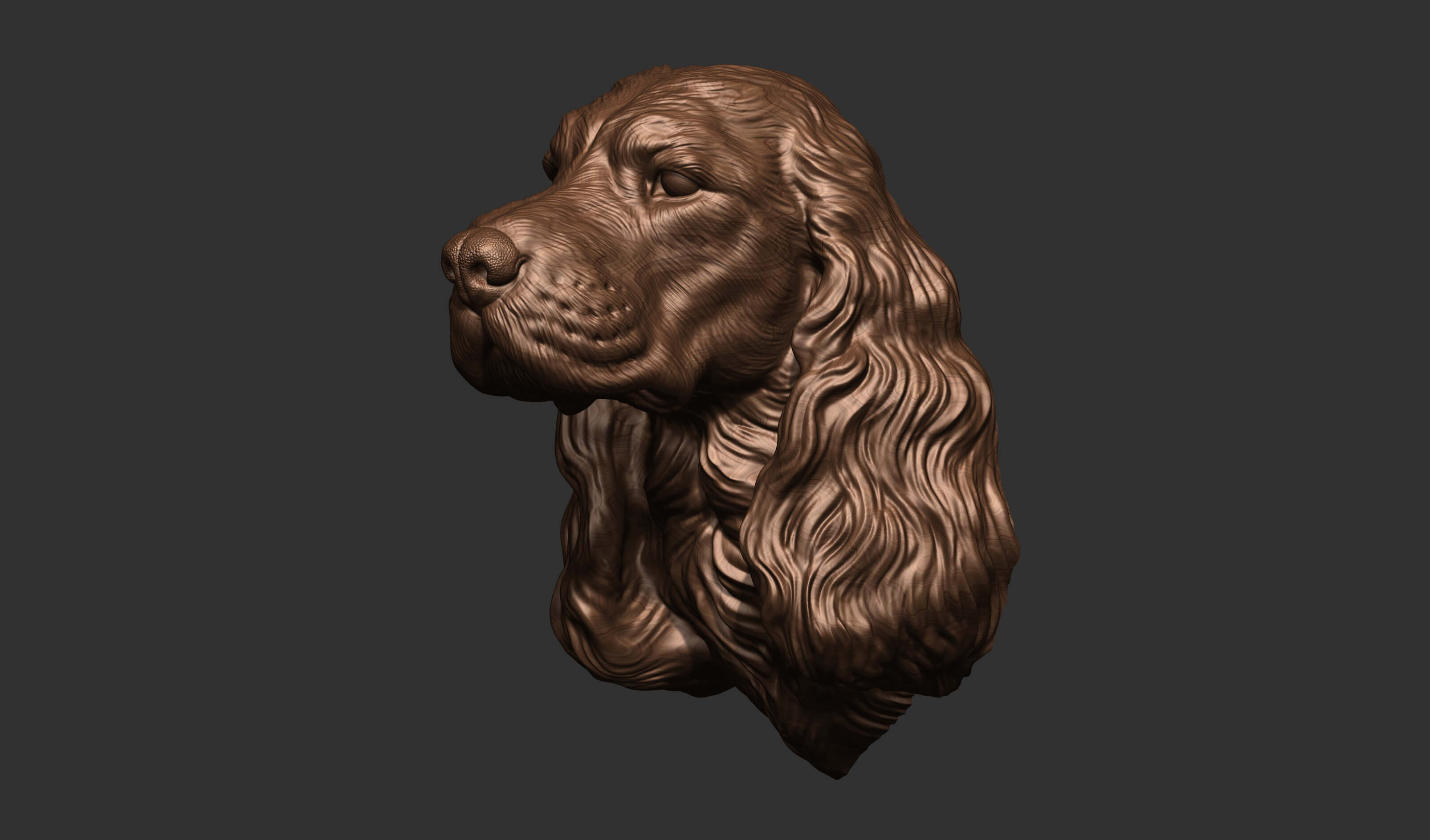 English Cocker Spaniel Bust - 3D Print Model by guninnik81