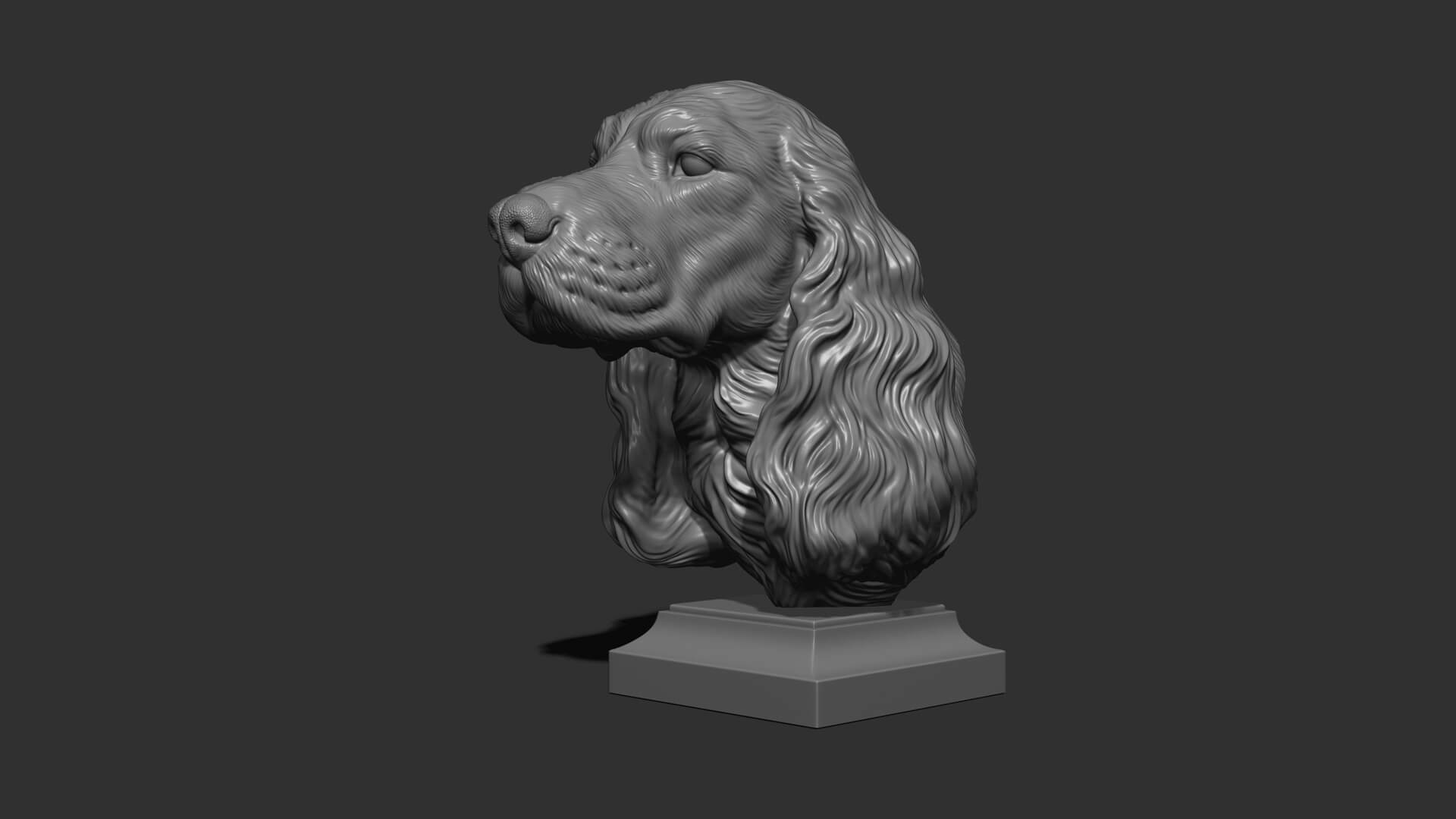 English Cocker Spaniel Bust - 3D Model by guninnik81