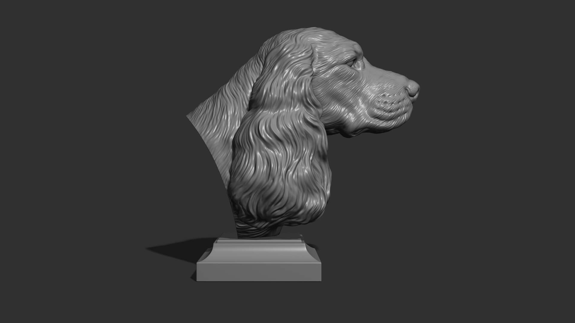 English Cocker Spaniel Bust - 3D Model by guninnik81