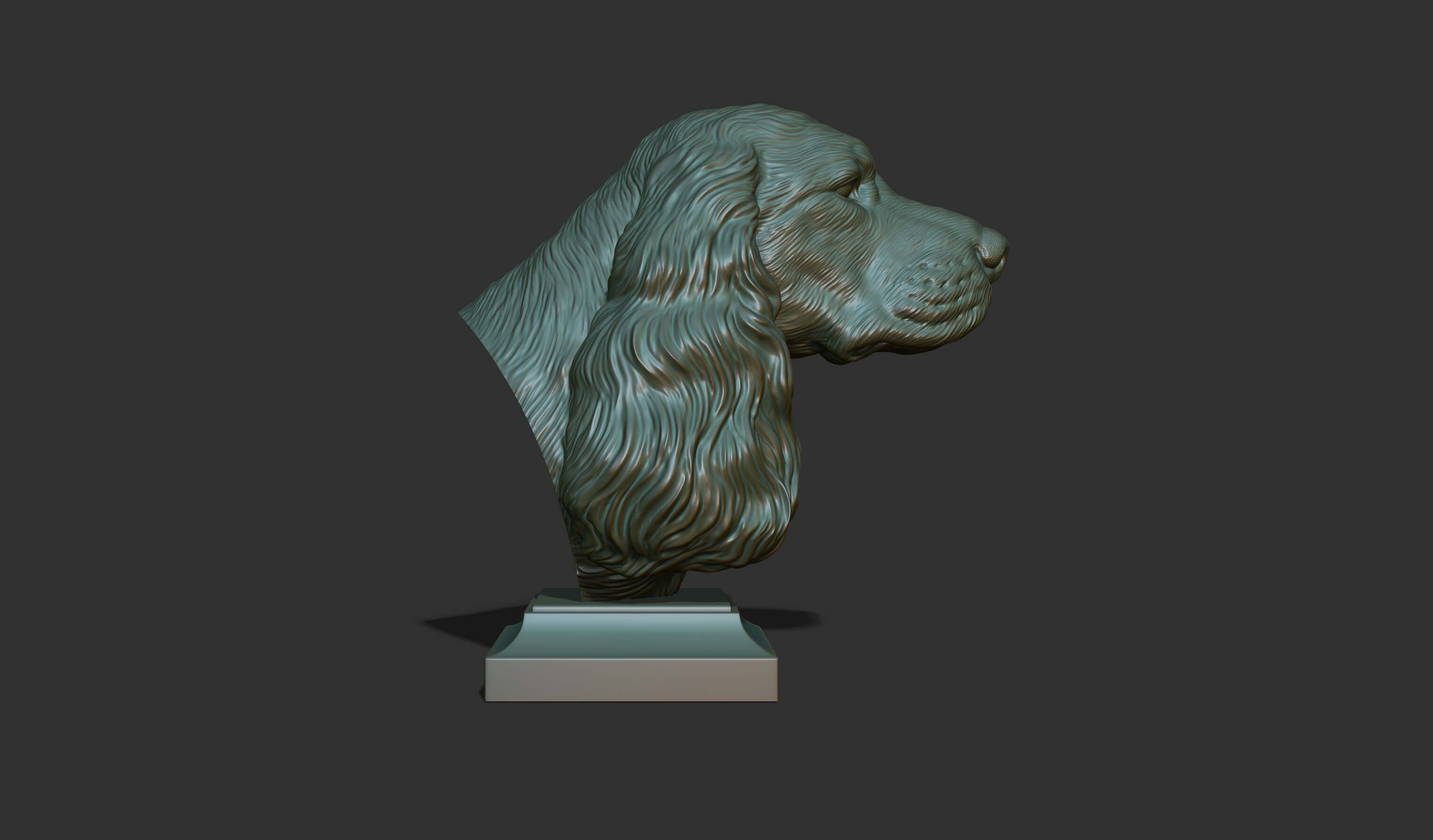 English Cocker Spaniel Bust - 3D Model by guninnik81