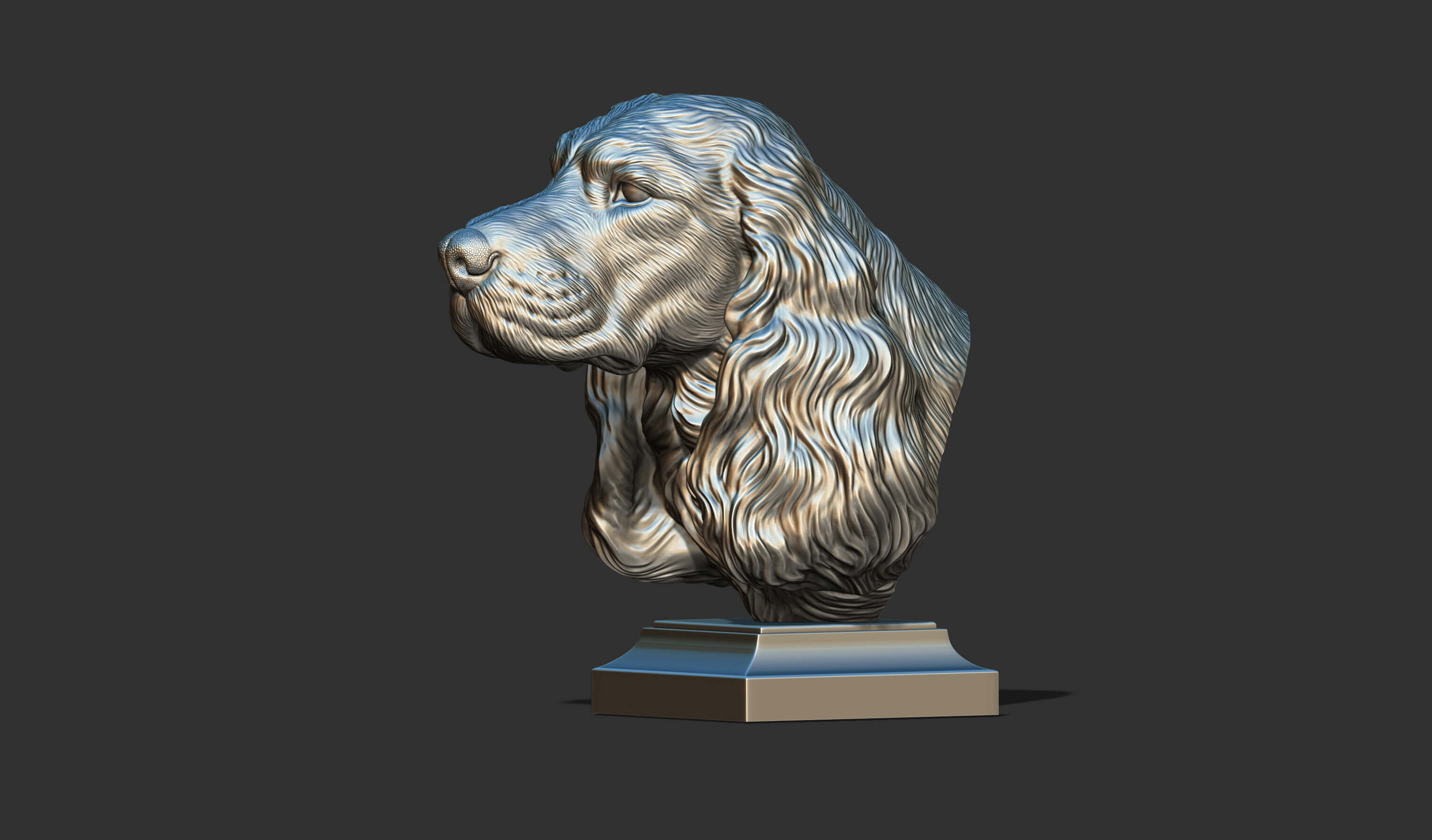 English Cocker Spaniel Bust - 3D Model by guninnik81