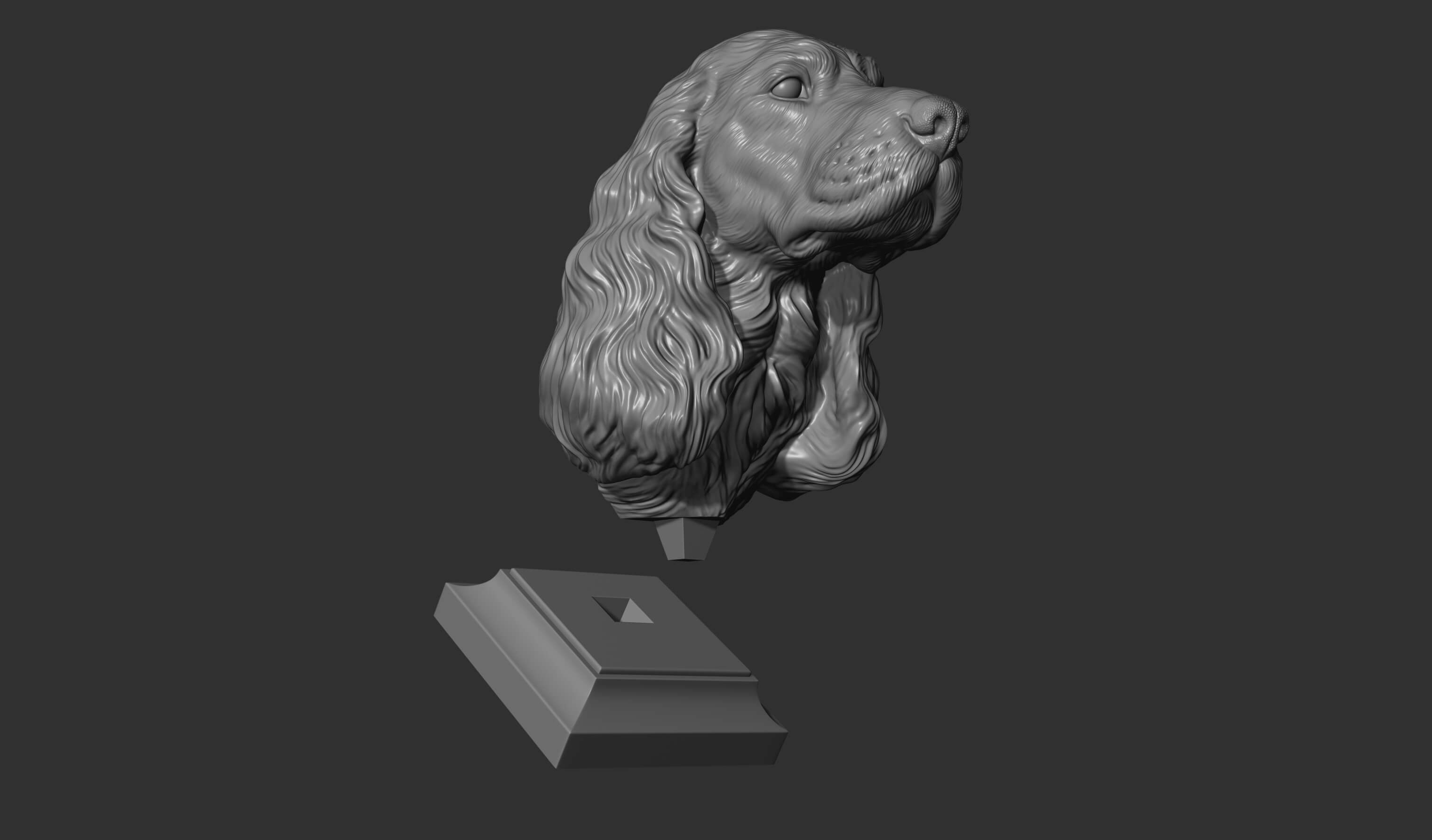 English Cocker Spaniel Bust - 3D Print Model by guninnik81