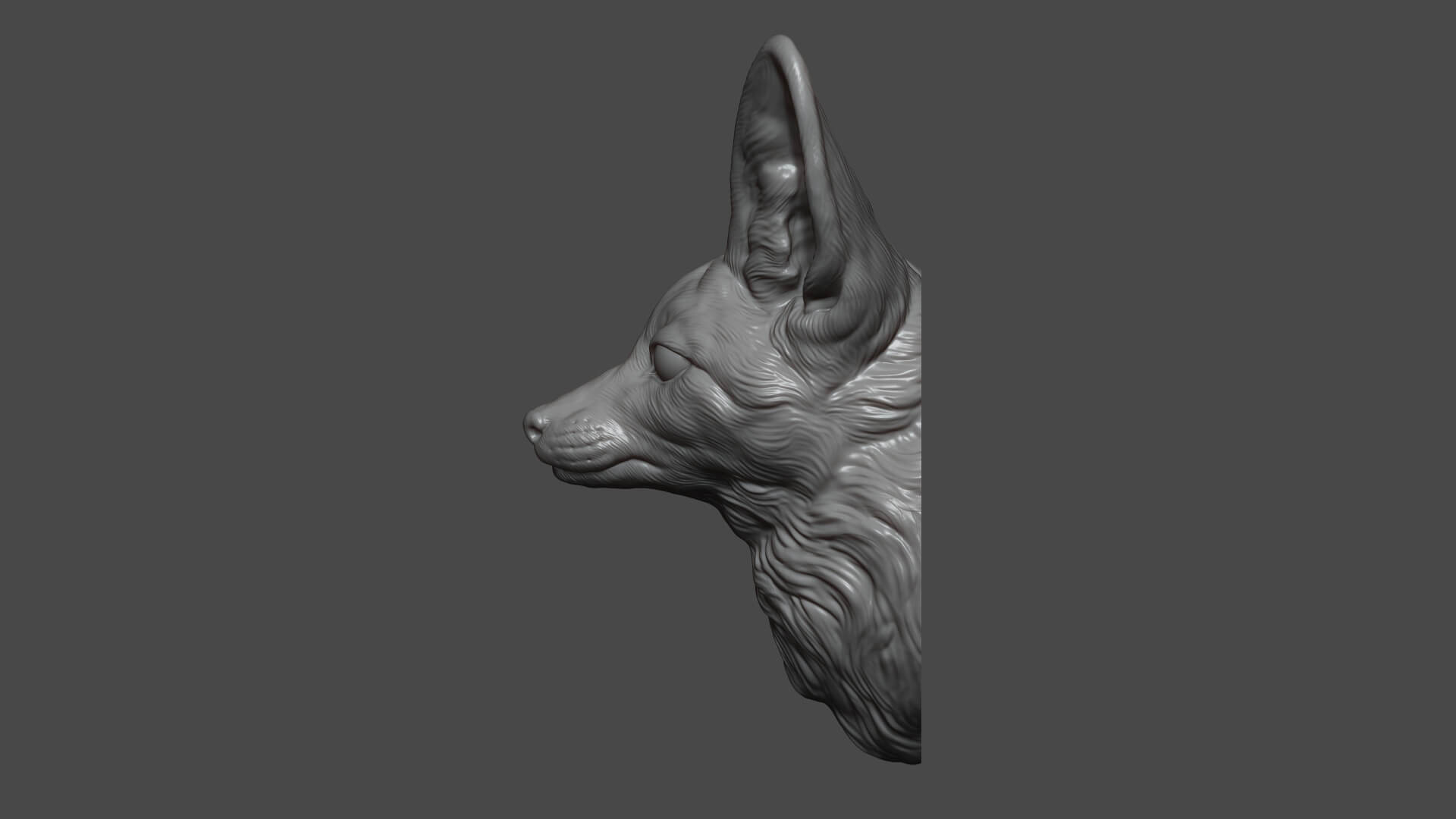 Fennec Fox Head - 3D Print Model by guninnik81