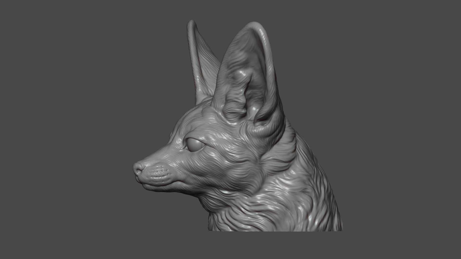 Fennec Fox Head - 3D Model by guninnik81