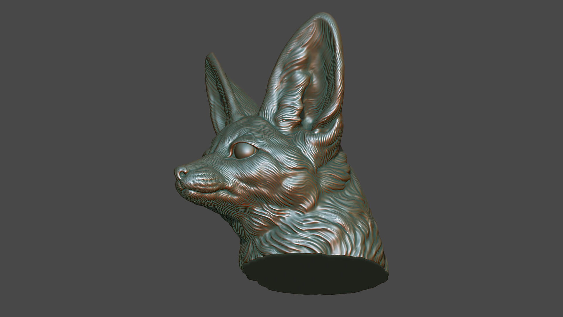 Fennec Fox Head - 3D Model by guninnik81