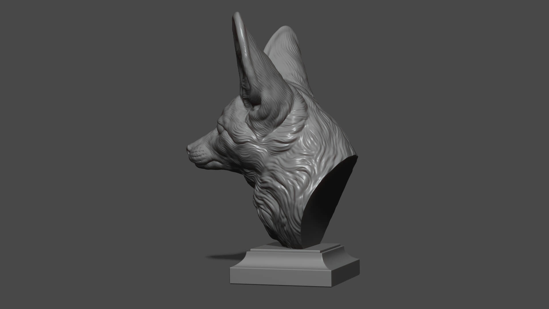 Fennec Fox Head - 3D Model by guninnik81