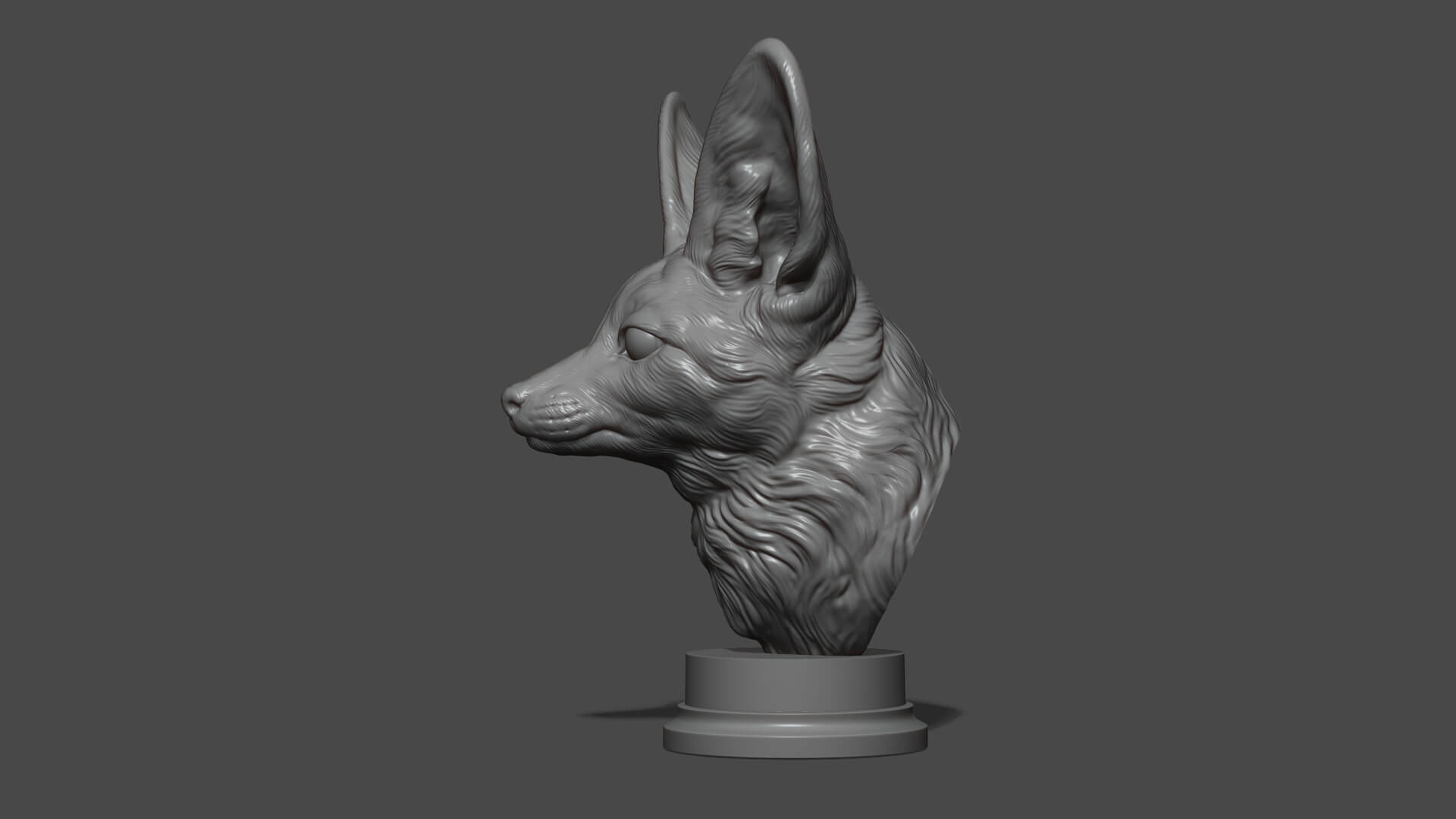 Fennec Fox Head - 3D Model by guninnik81