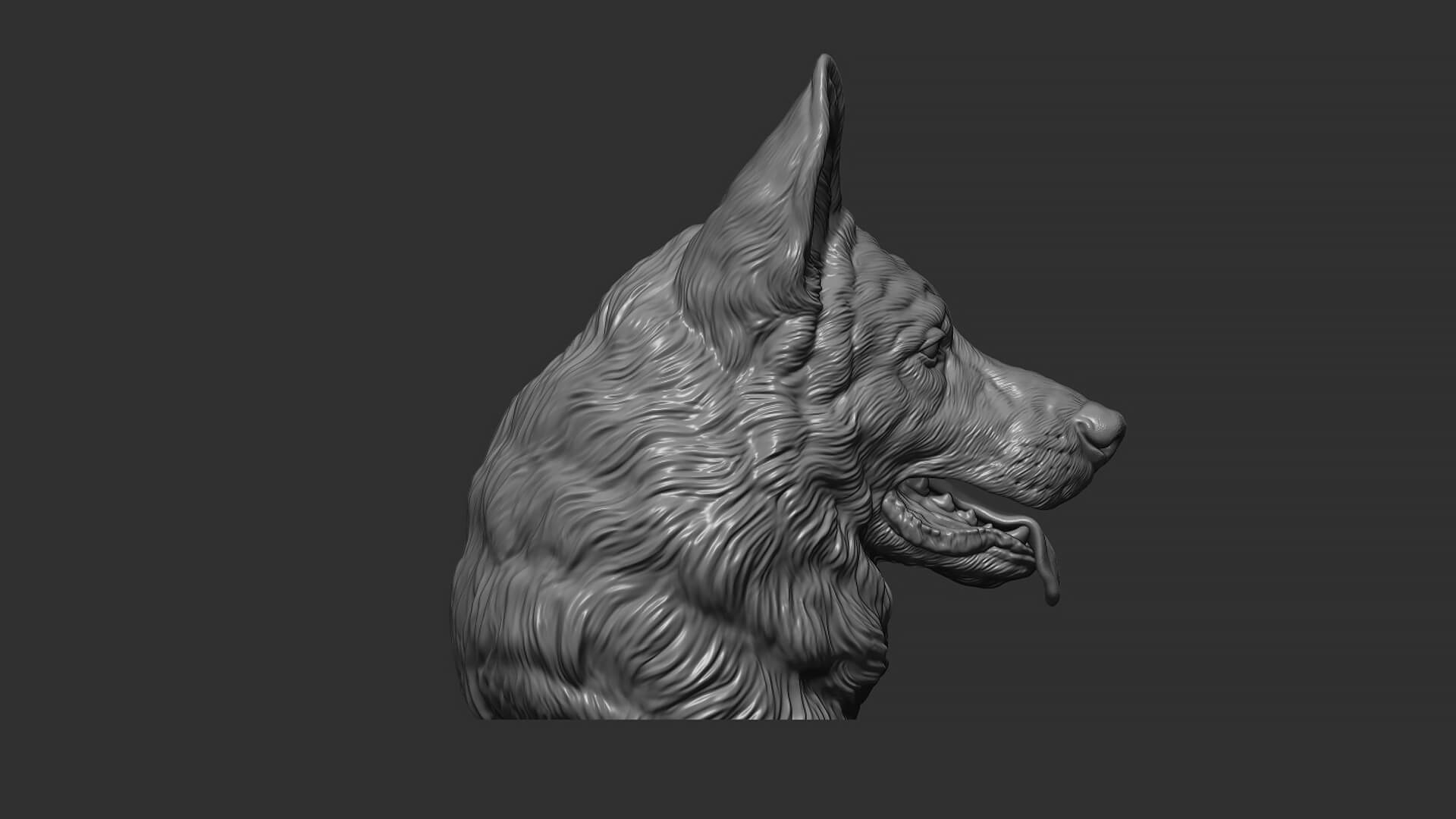 German Shepherd Dog Head - 3D Model by guninnik81