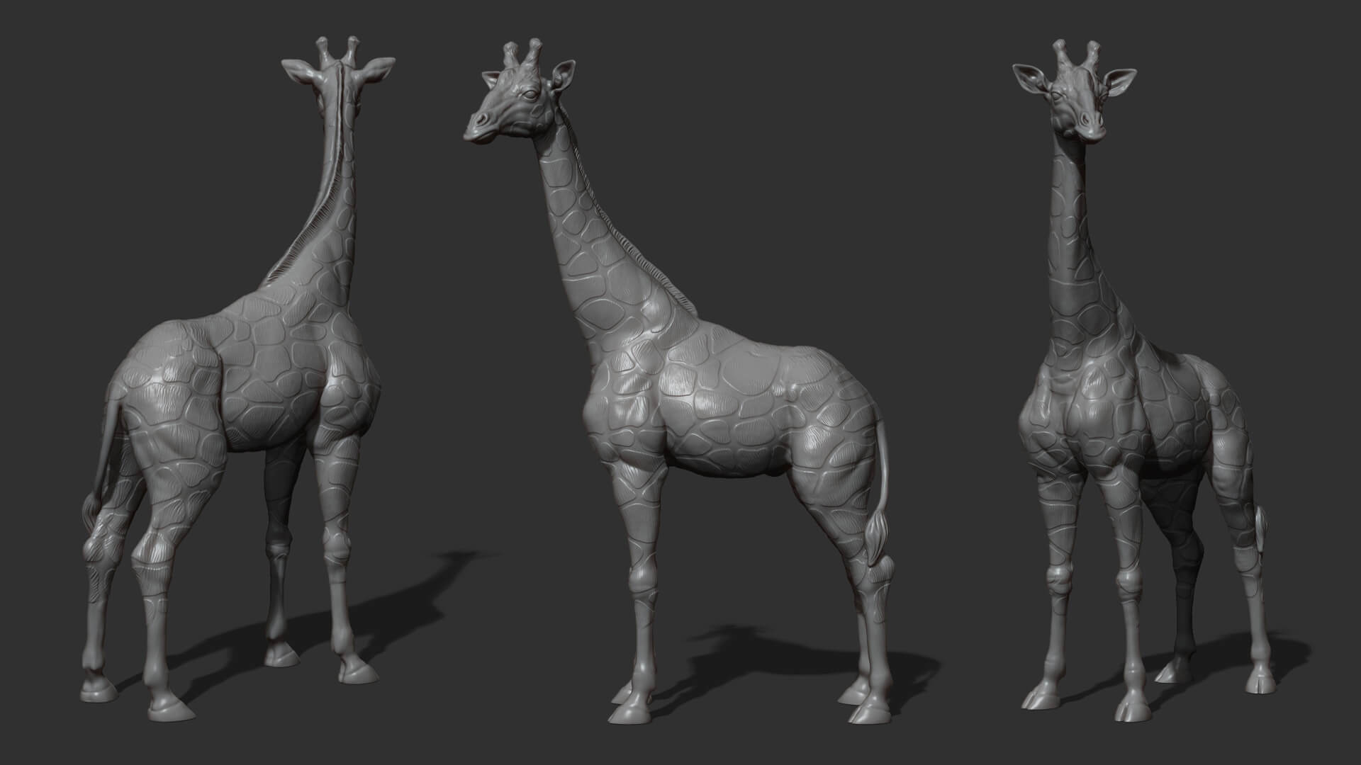 Giraffe Full-Length 3D Model by guninnik81