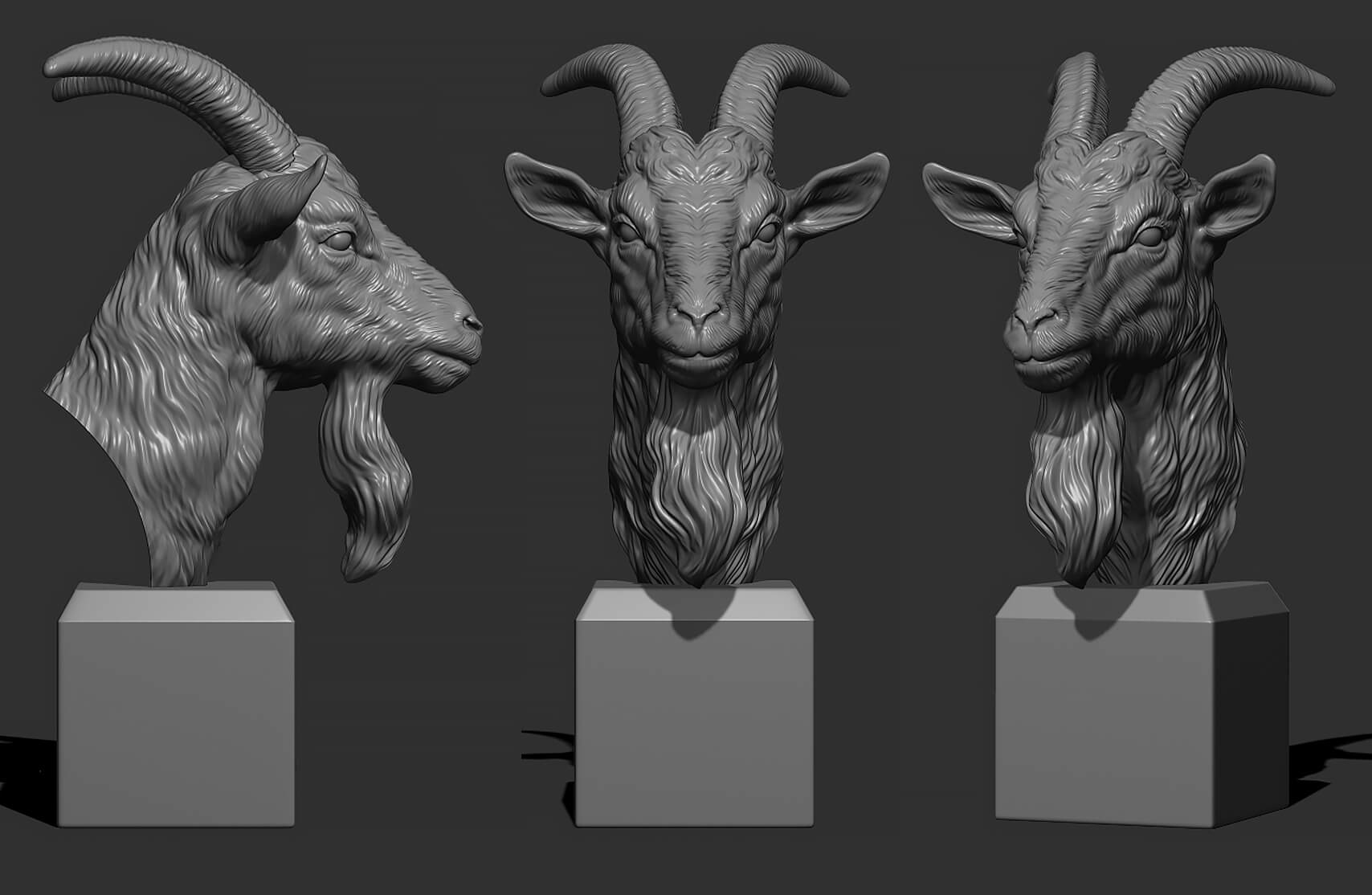 Goat Head Bust - 3D Model by guninnik81