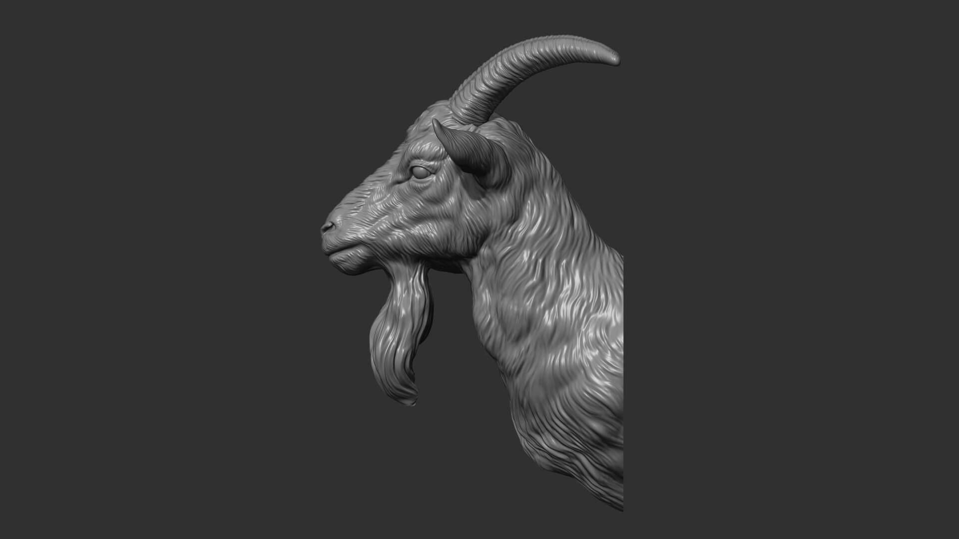 Goat Head Bust - 3D Model by guninnik81