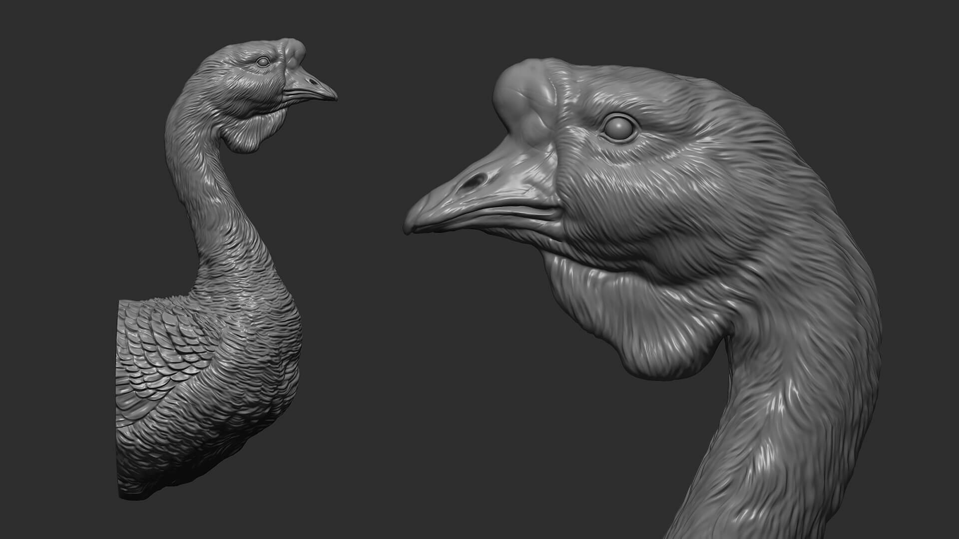 Goose Gander Bust - 3D Model by guninnik81