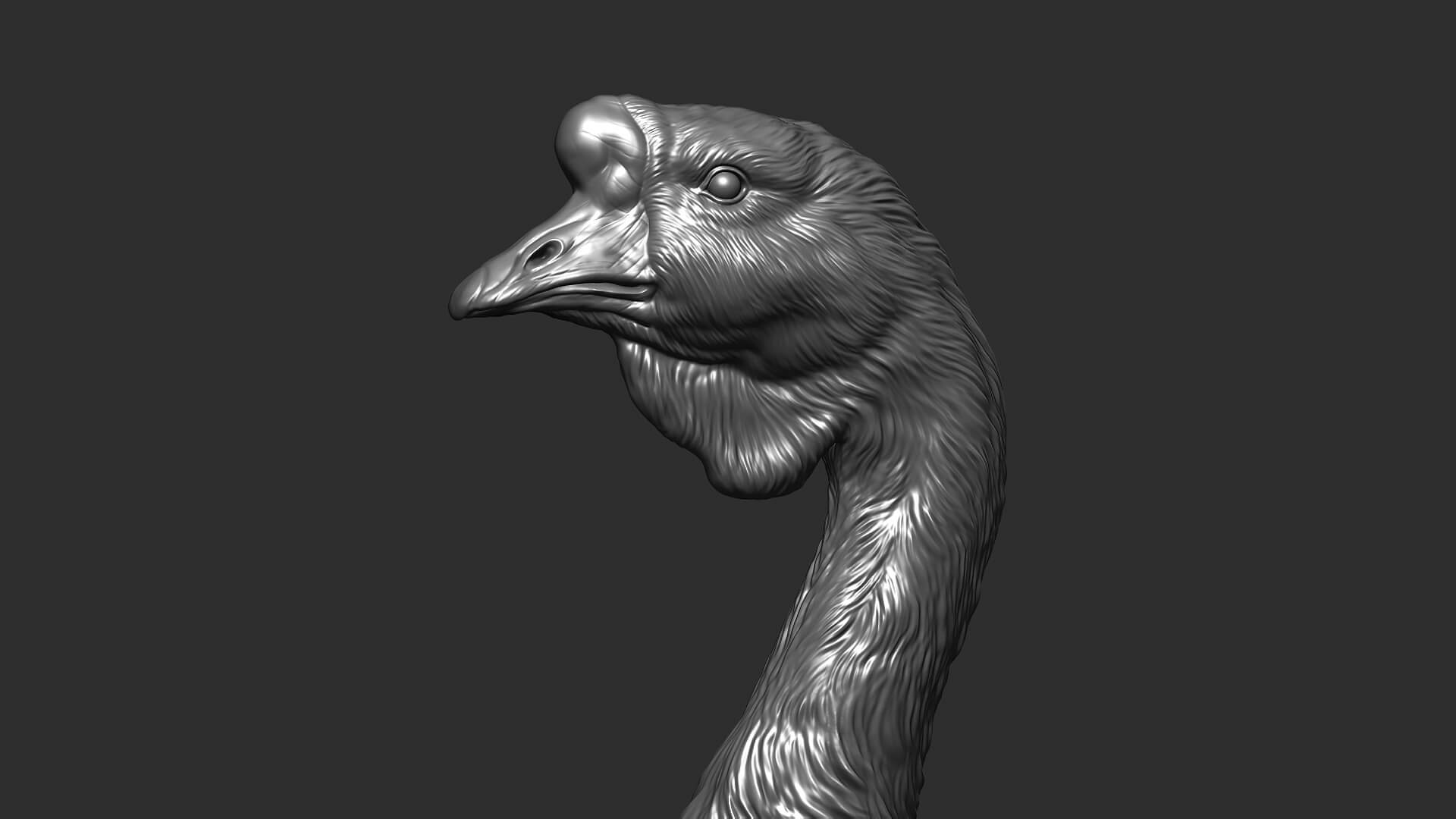 Goose Gander Bust - 3D Model by guninnik81