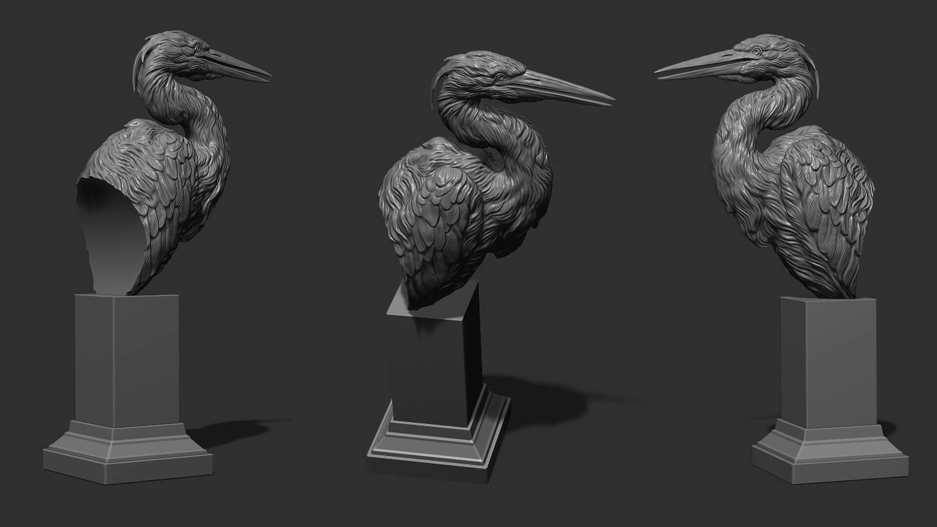 Gray Heron - 3D Model by guninnik81
