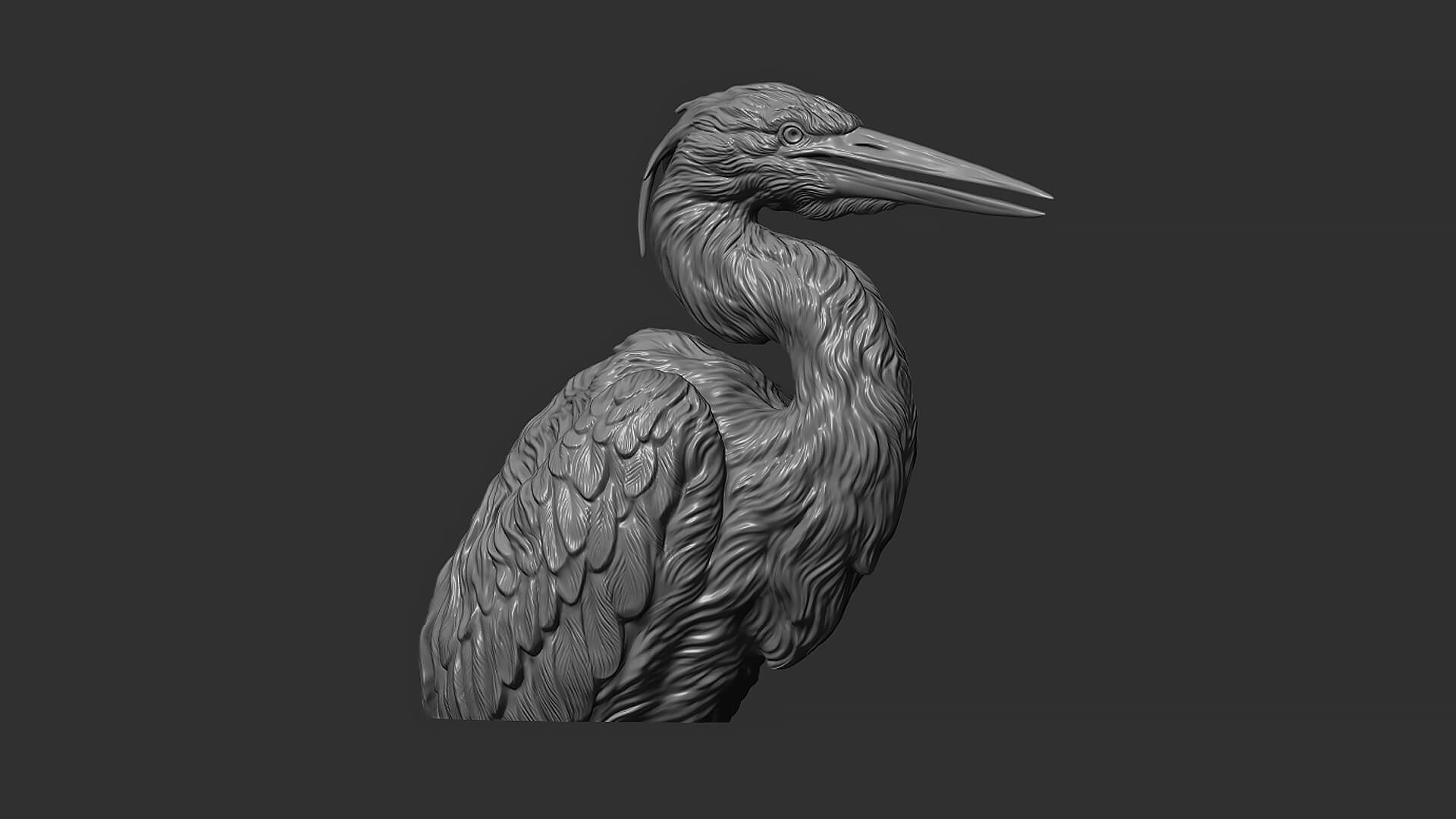 Gray Heron - 3D Model by guninnik81