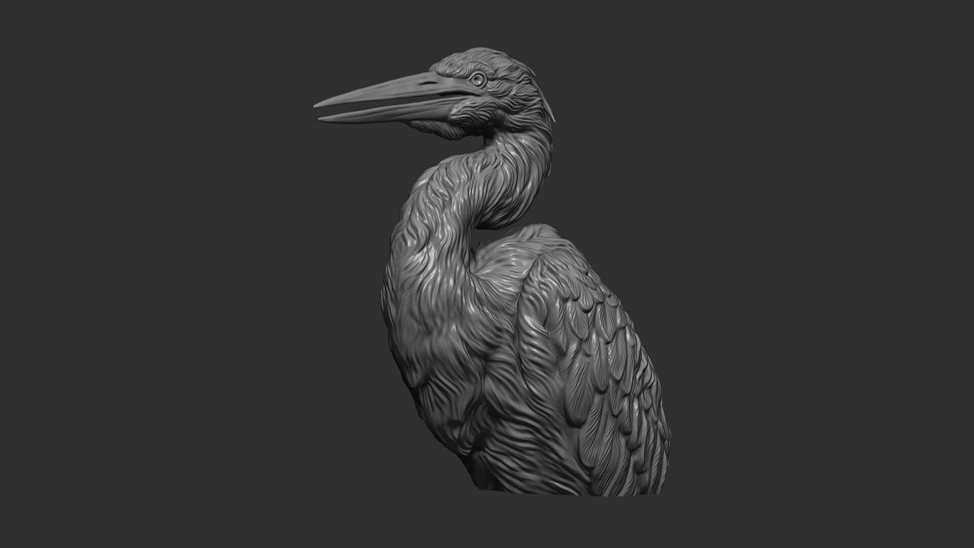 Gray Heron - 3D Model by guninnik81