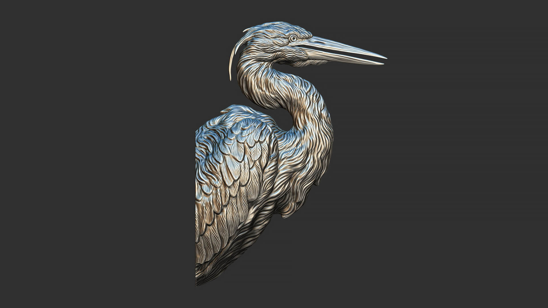 Gray Heron - 3D Model by guninnik81
