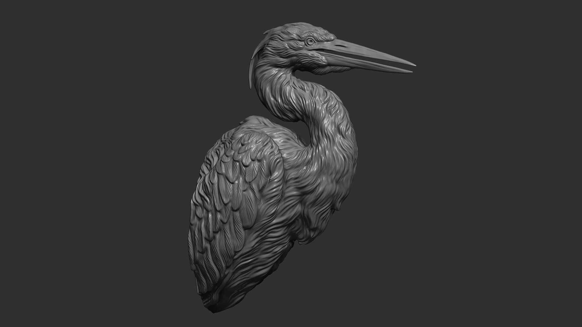Gray Heron - 3D Model by guninnik81