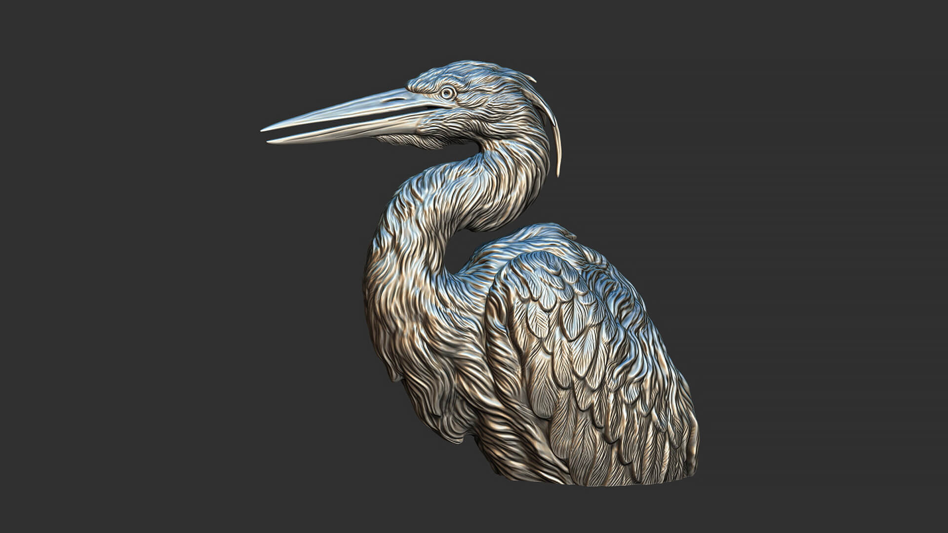 Gray Heron - 3D Model by guninnik81