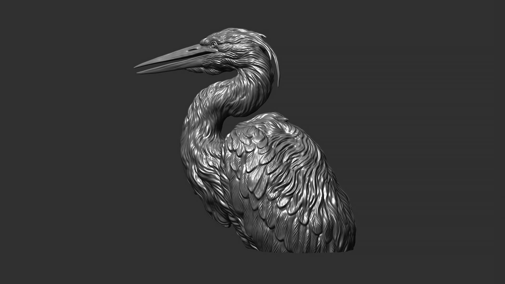 Gray Heron - 3D Model by guninnik81
