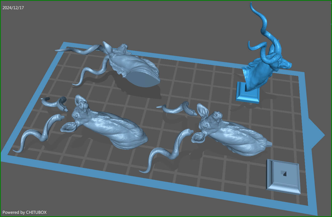 Greater Kudu Antelope Bust - 3D Model by guninnik81