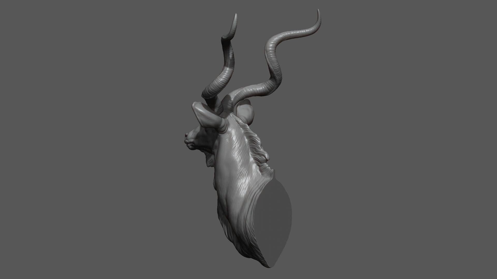 Greater Kudu Antelope Bust - 3D Model by guninnik81