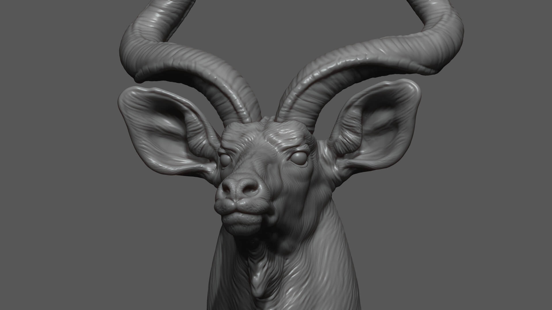 Greater Kudu Antelope Bust - 3D Model by guninnik81