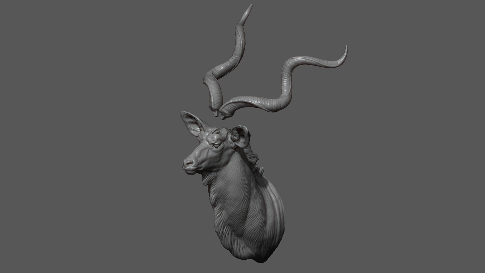 Greater Kudu Antelope Bust - 3D Model by guninnik81