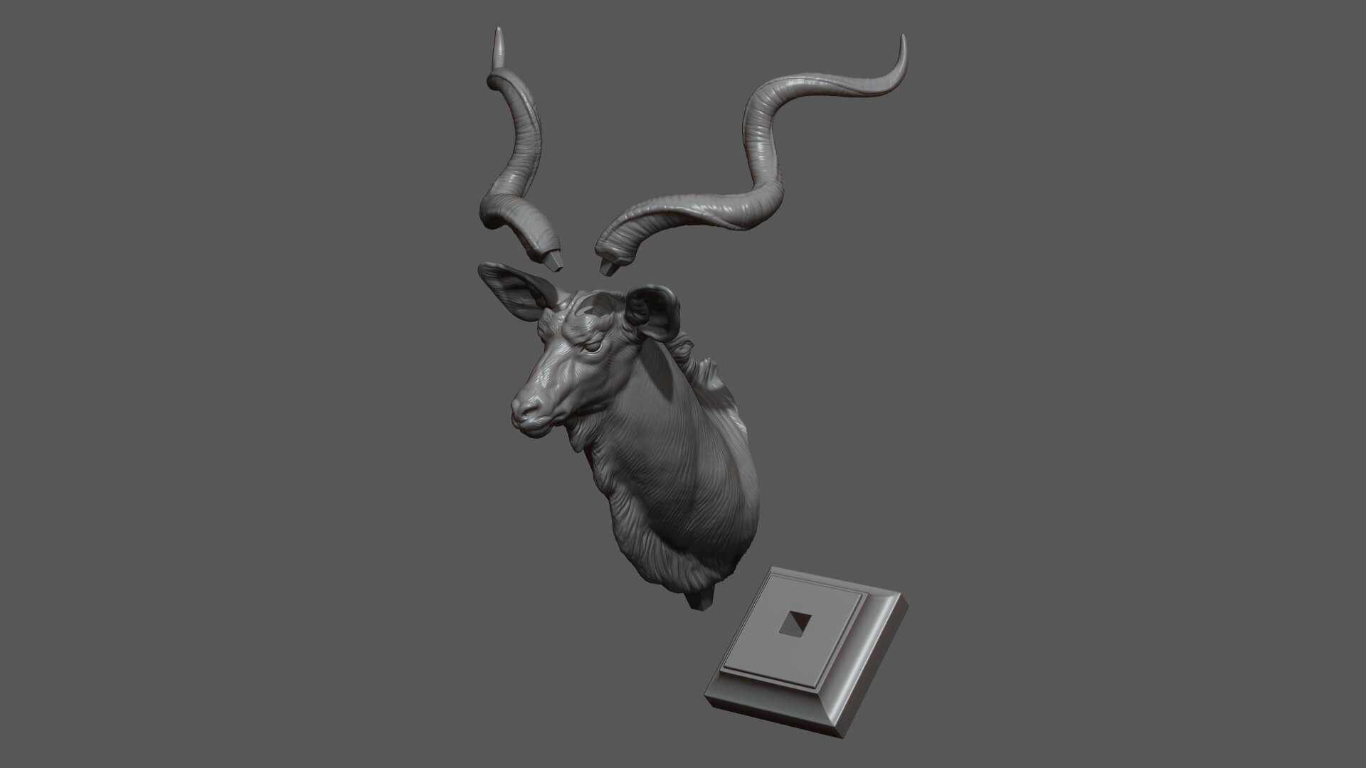 Greater Kudu Antelope Bust - 3D Model by guninnik81