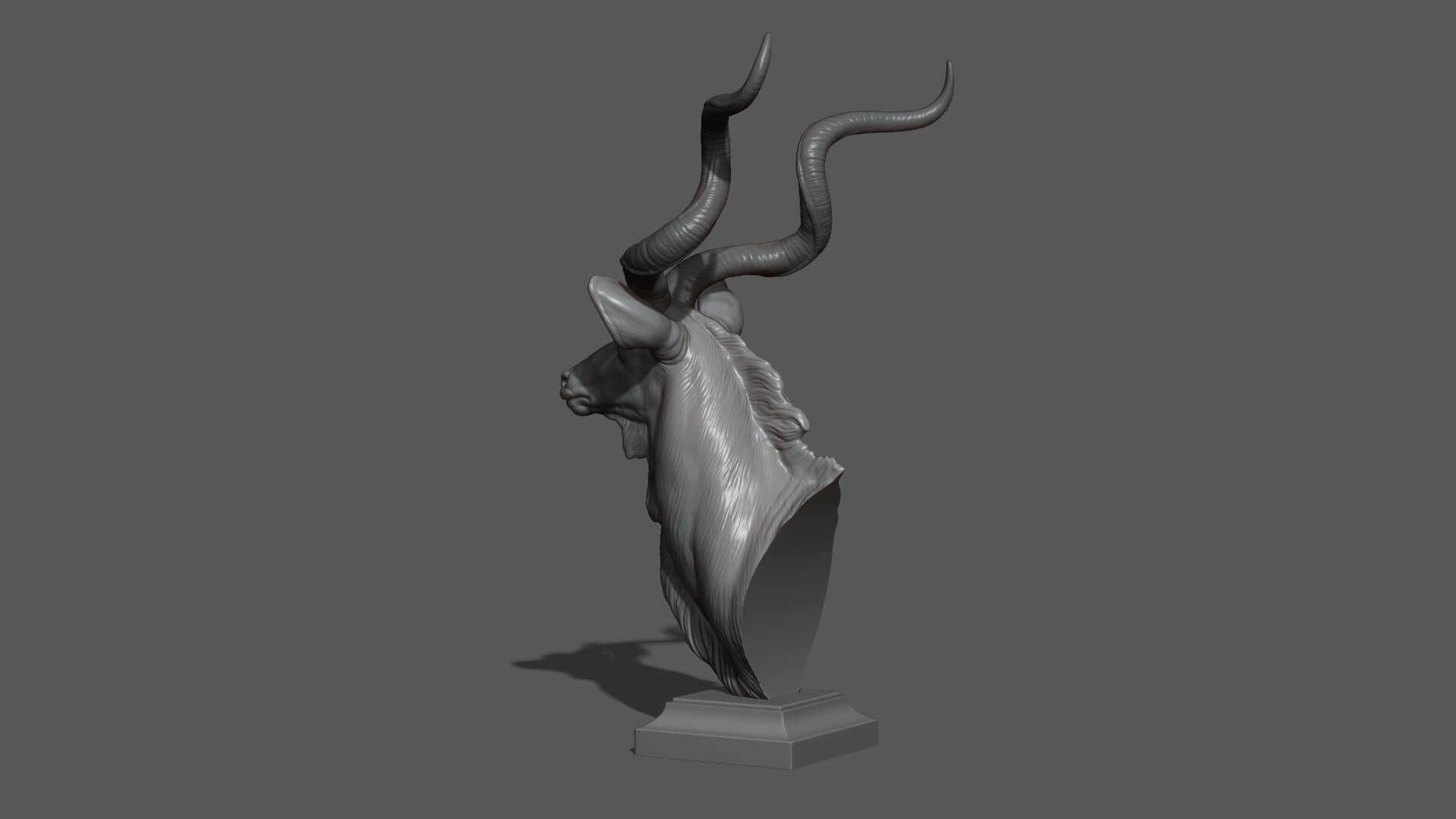 Greater Kudu Antelope Bust - 3D Model by guninnik81