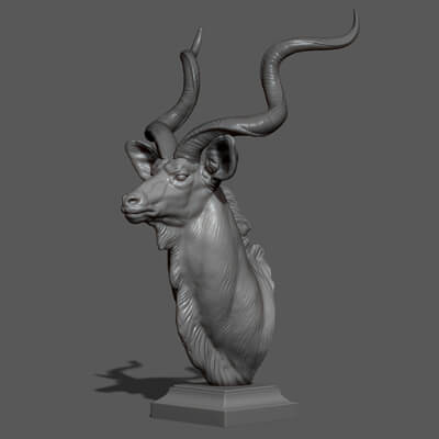 Greater Kudu Antelope Bust - 3D Model by guninnik81