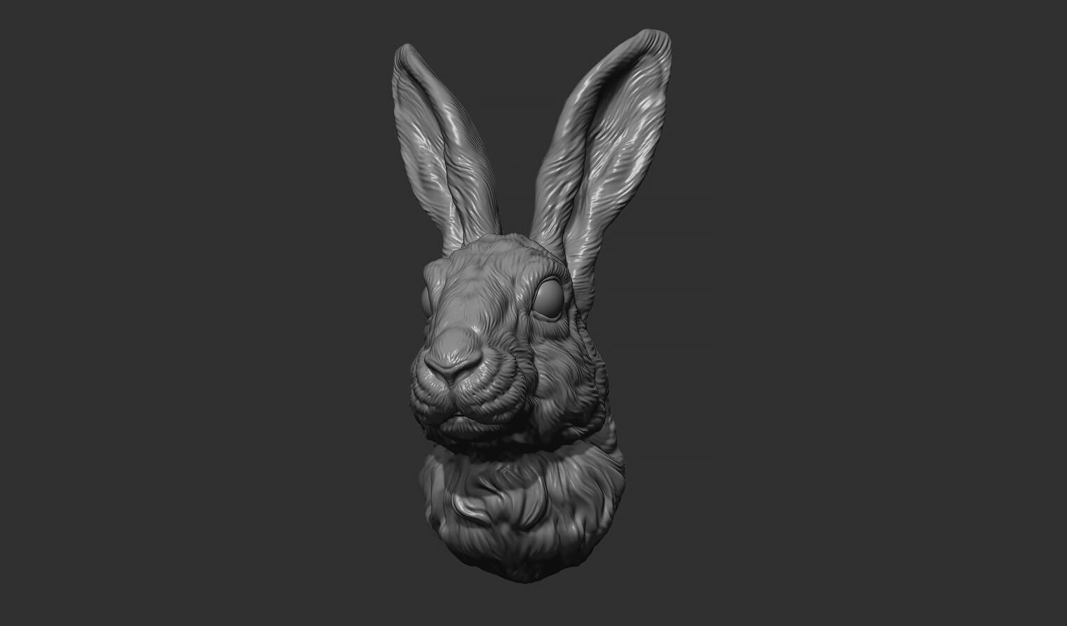 Hare Head - 3D Model by guninnik81