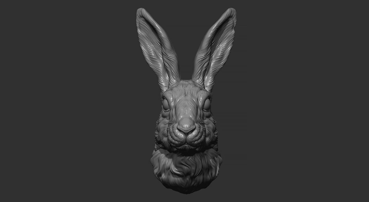 Hare Head - 3D Model by guninnik81