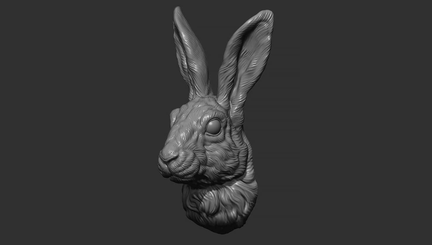 Hare Head - 3D Model by guninnik81